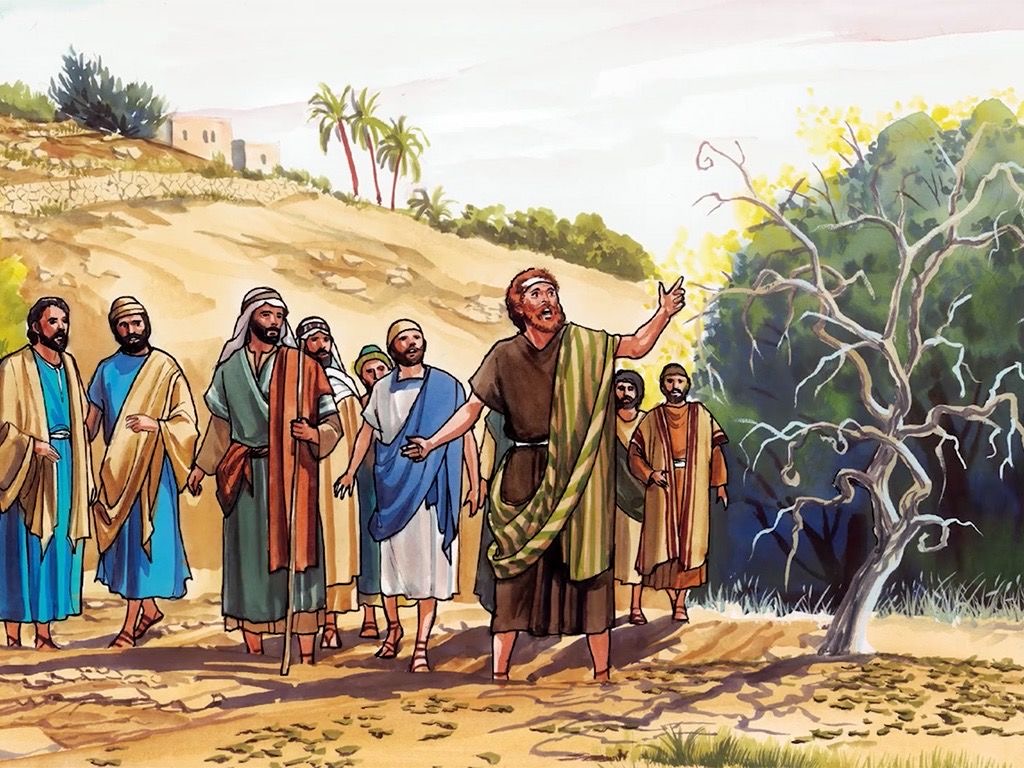 El simbolismo de la higuera – ofertaportiempolimitado.org